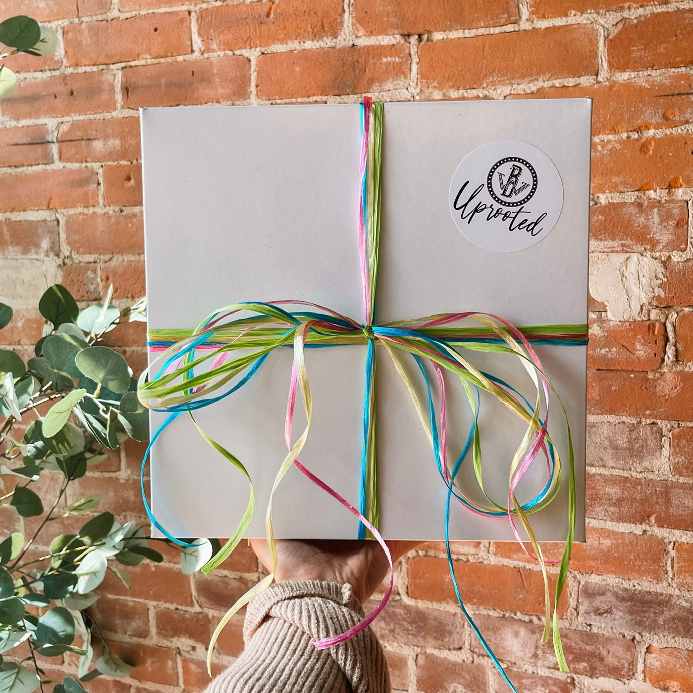 Surprise Gift Boxes – Uprooted by Willow & Birch